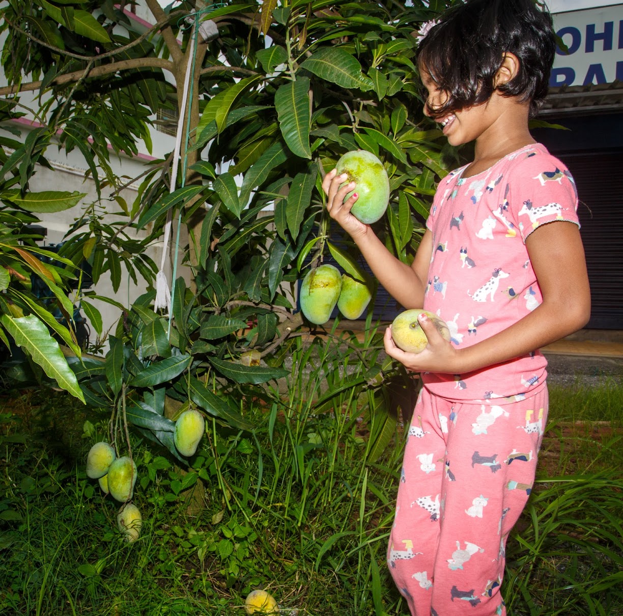 Rohini Devi Rotary | Prakriti Biotech Farm